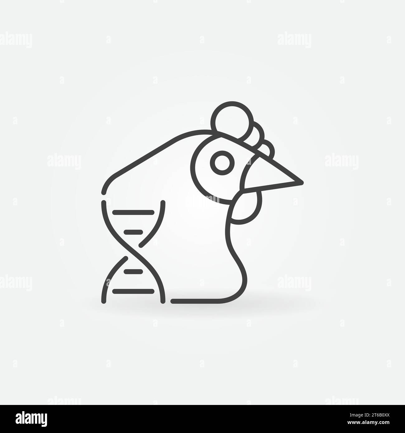 Chicken with DNA vector concept icon or symbol in thin line style Stock ...