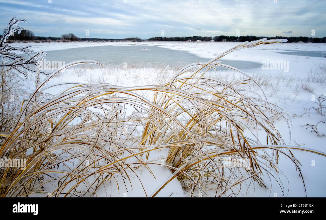 Scarborough marsh in maine hi-res stock photography and images - Alamy