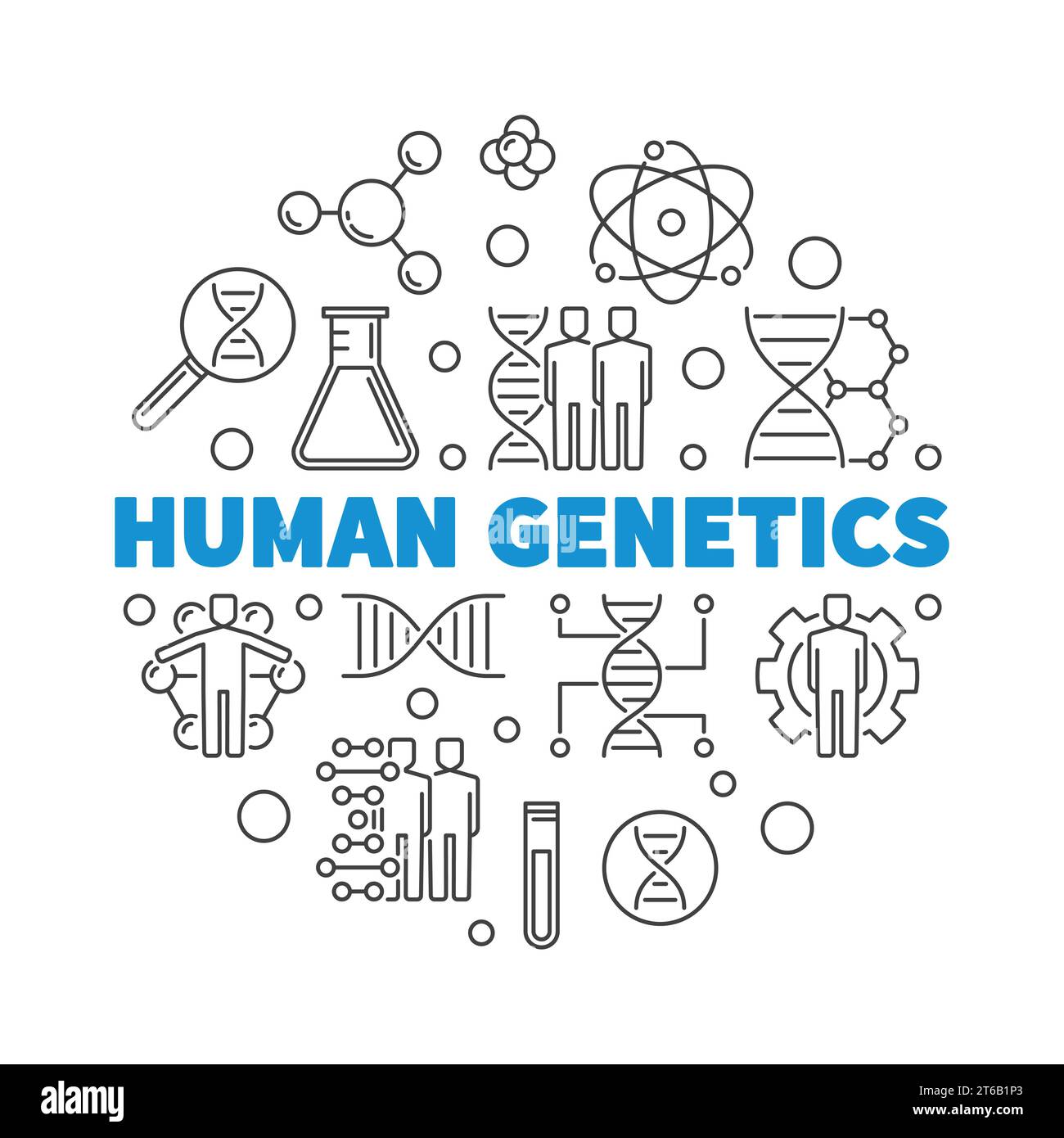 Human Genetics vector round concept illustration in outline style Stock ...
