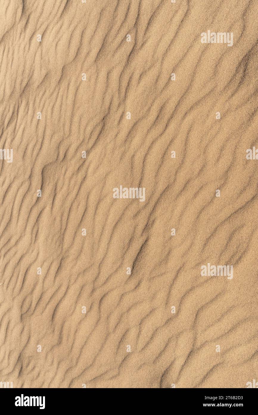 Background of sun-kissed sand, boasting a radiant yellow color palette ...