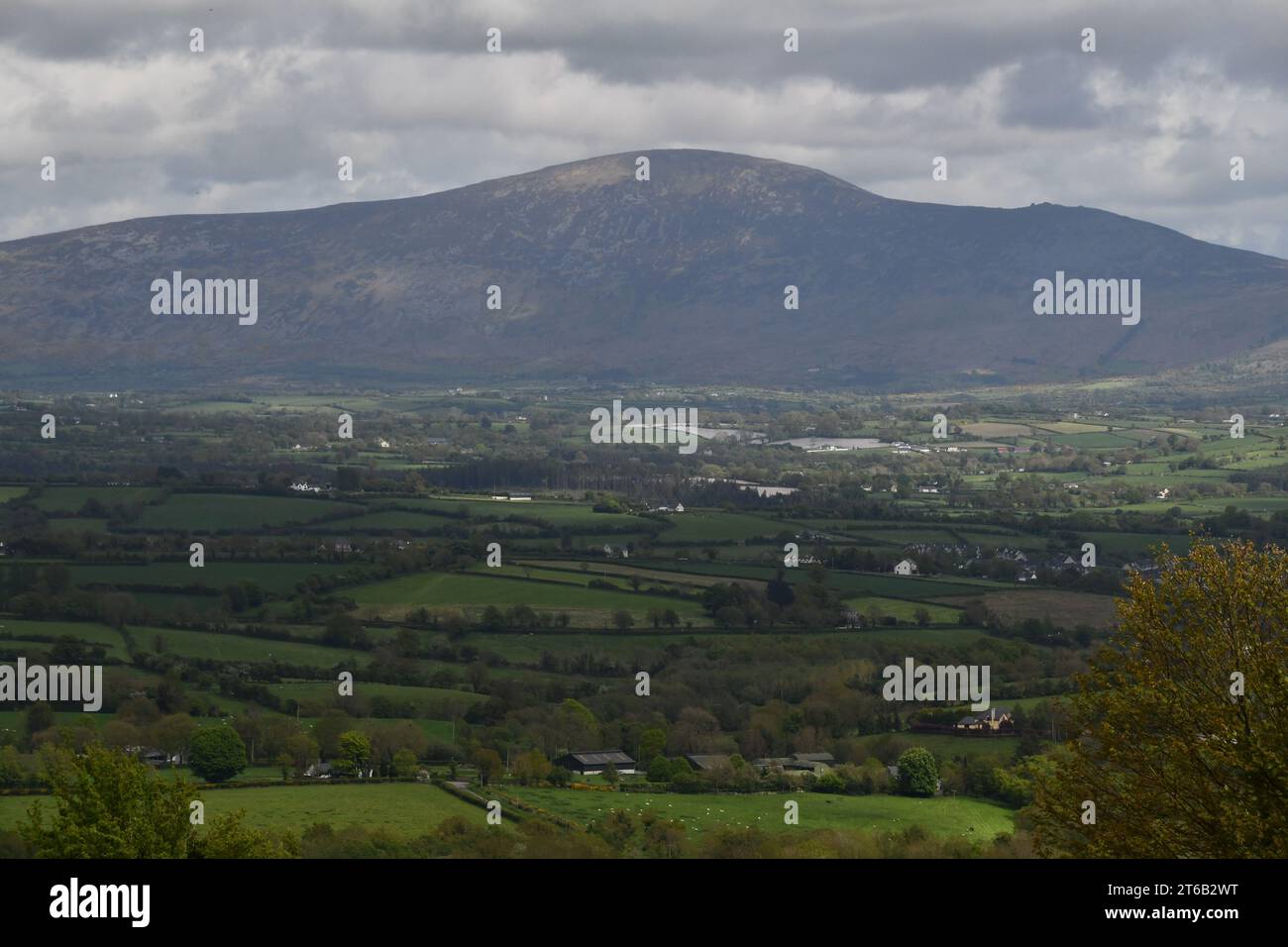 View of the valley and Blackstairs mountains range Stock Photo - Alamy