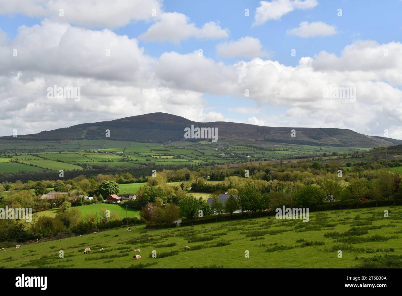 View of the valley and Blackstairs mountains range Stock Photo - Alamy