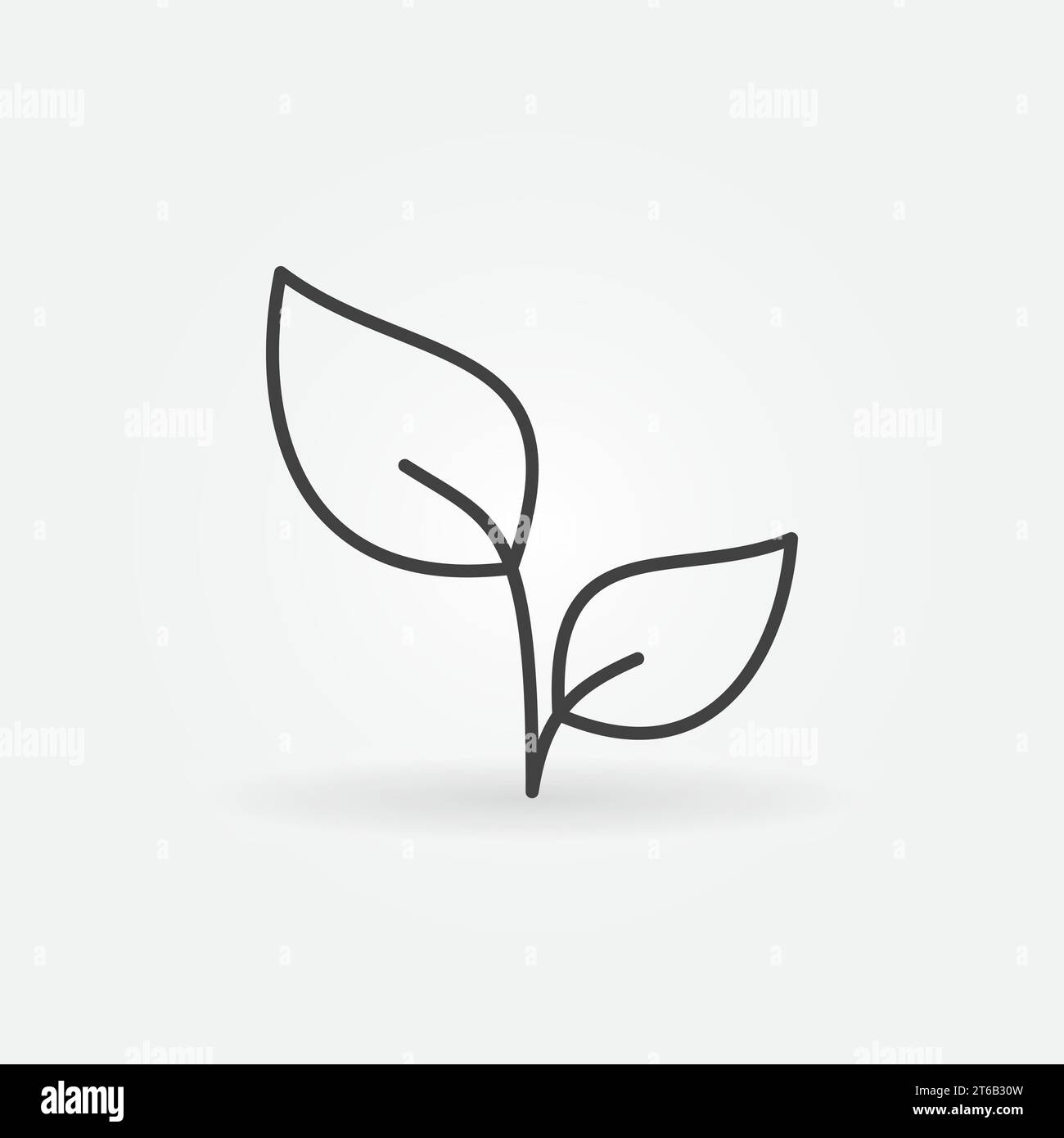 Two linear leaves hi-res stock photography and images - Alamy