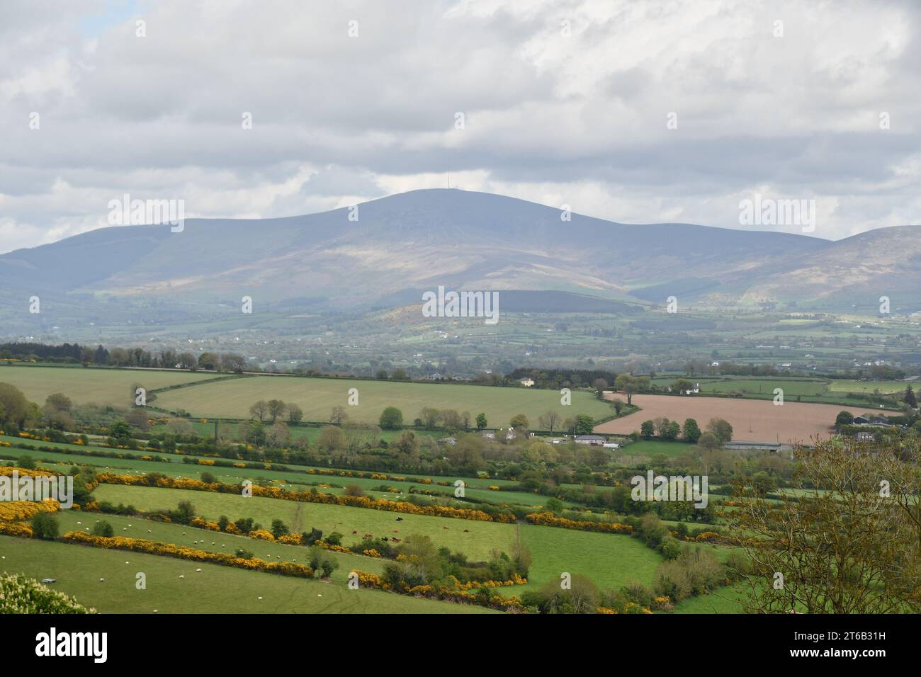 View of the valley and Blackstairs mountains range Stock Photo - Alamy