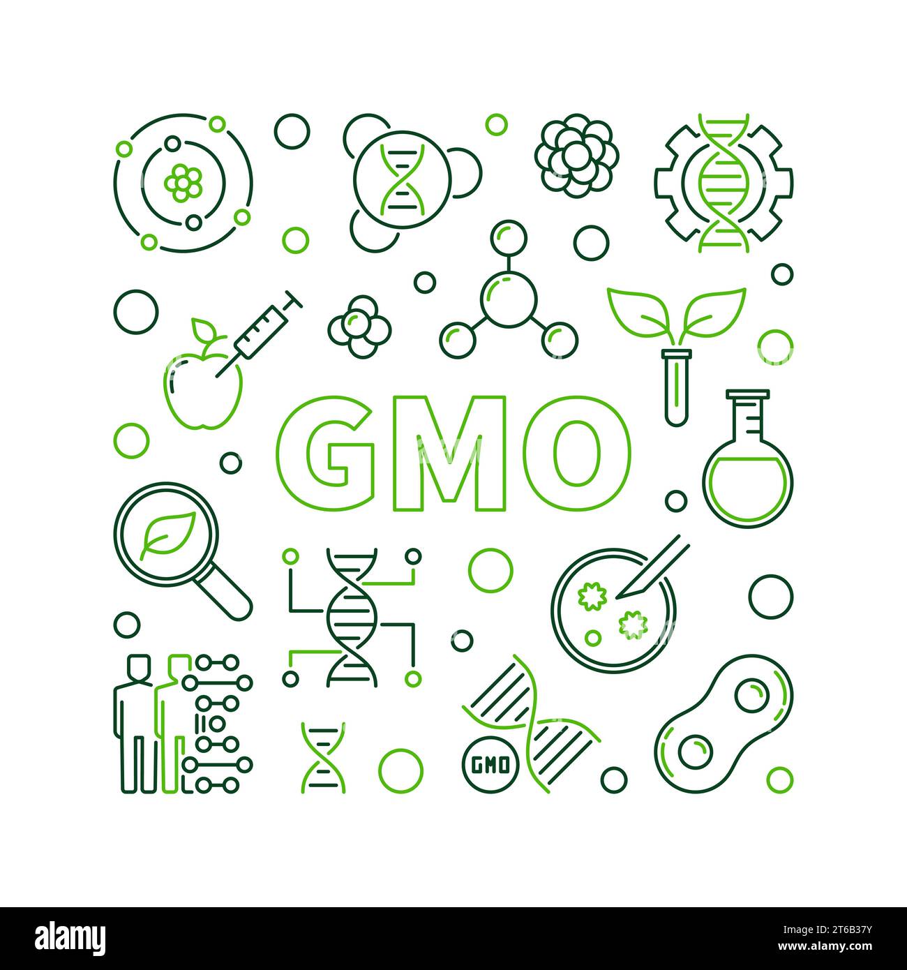 GMO or Genetically Modified Organism vector square outline illustration ...