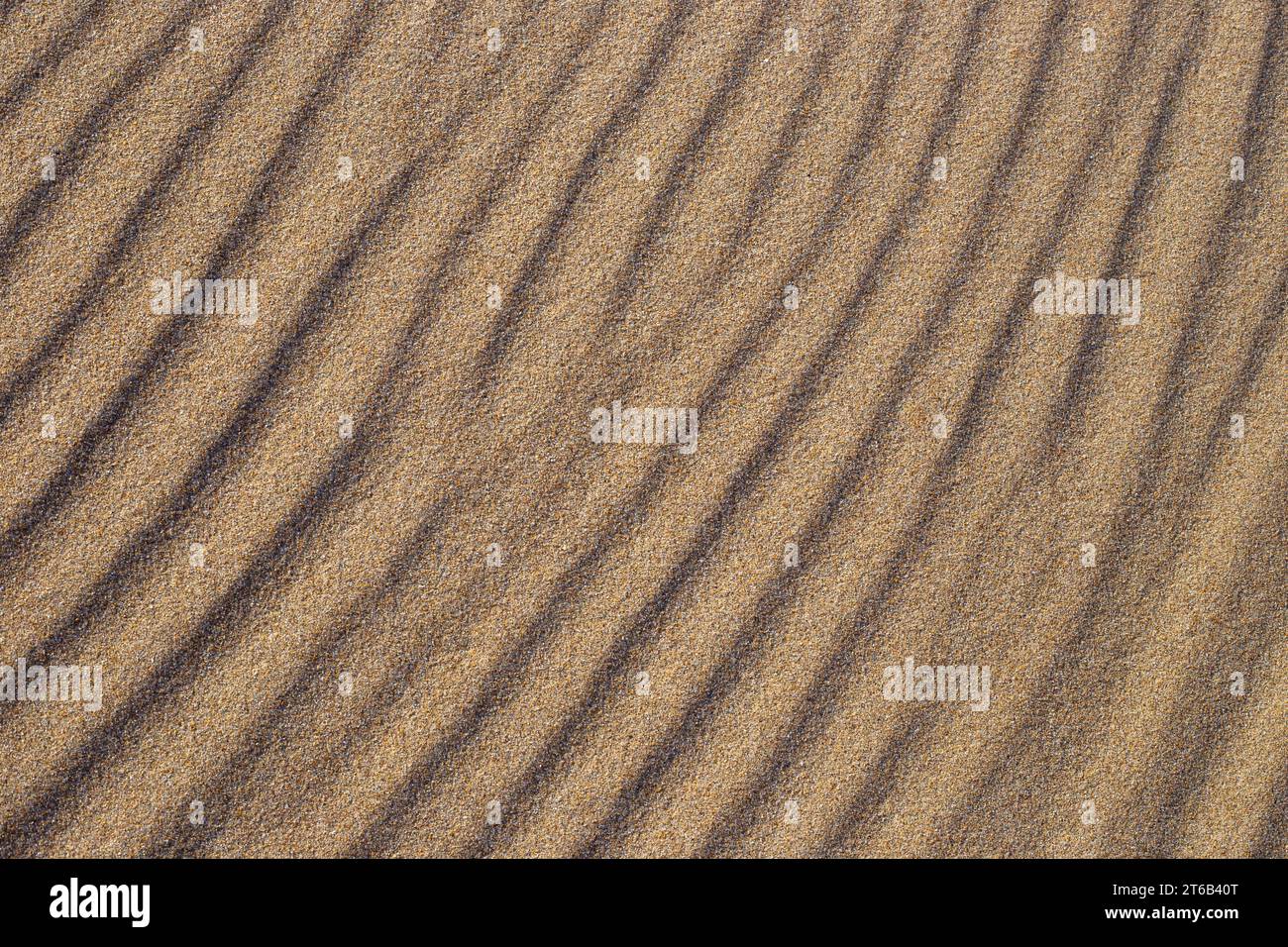 sand dunes with wavy ridges. Natural background for text, template ...