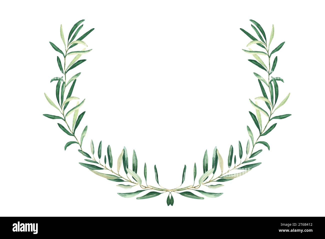 Watercolor olive wreath. Isolated on white background. Hand drawn ...