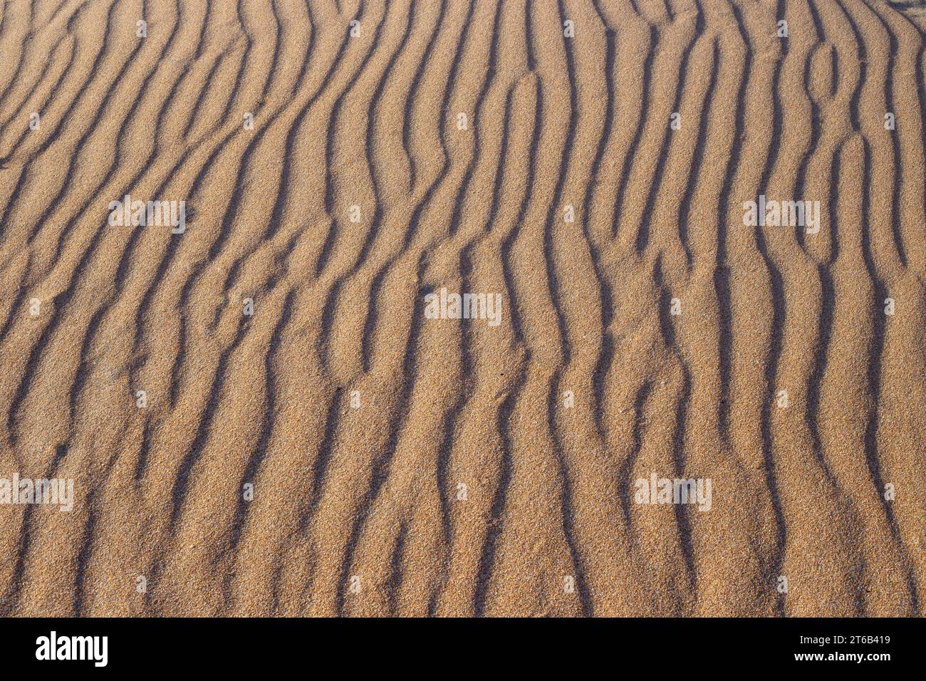 sand dunes with wavy ridges. Natural background for text, template ...