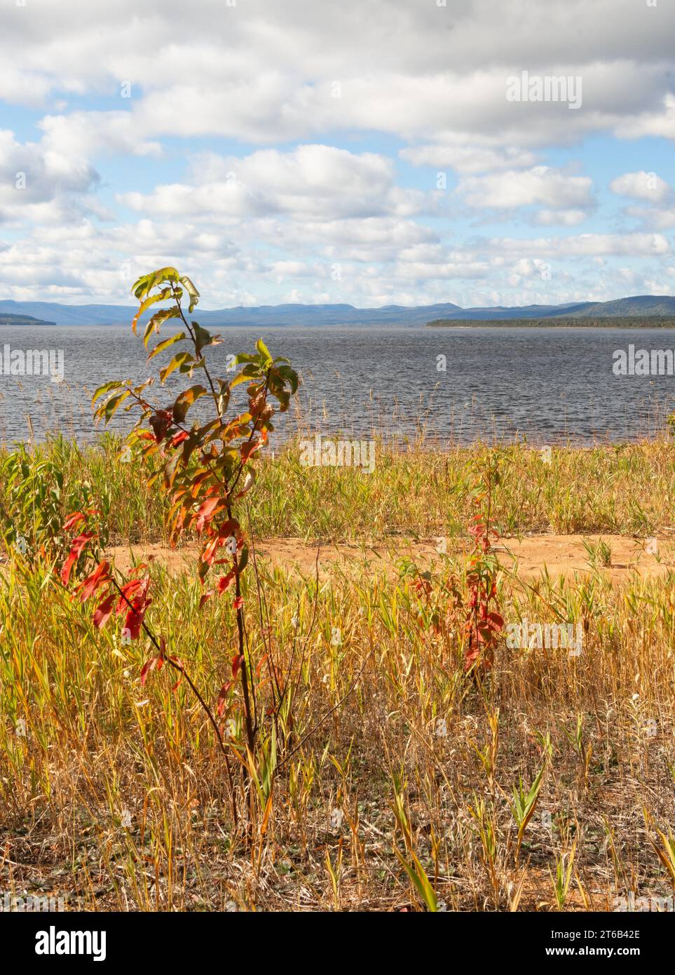 Statocumulus clouds hi-res stock photography and images - Alamy