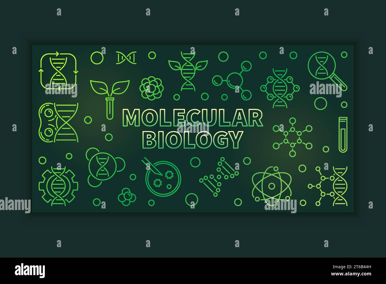 Molecular Biology vector modern outline green horizontal banner or ...