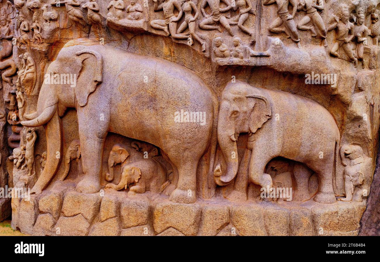 Arjuna's Penance: A seventh century monument at Mamallapuram ...