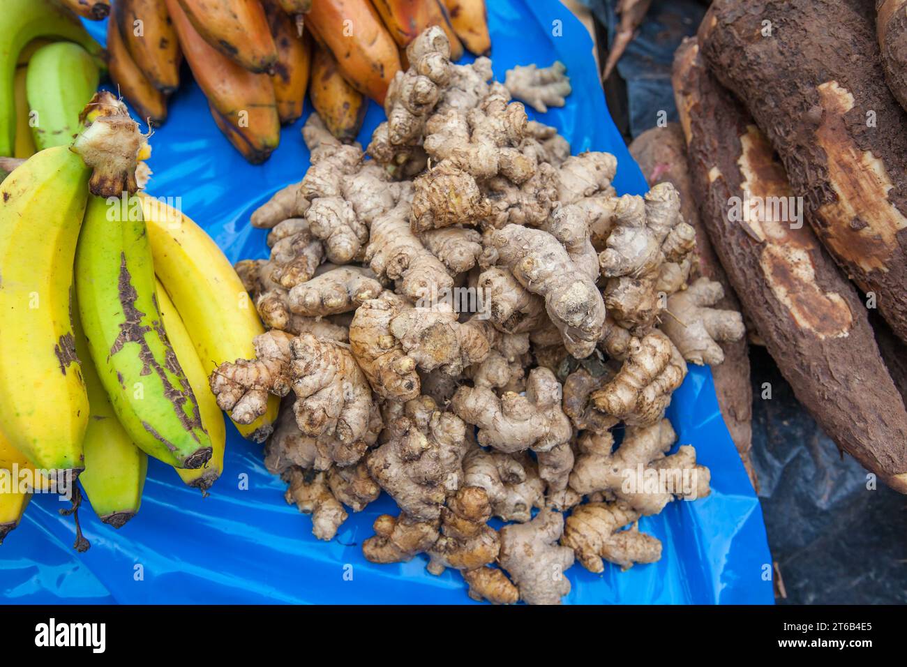 Vegetables and fruits from the peruvian jungle Stock Photo - Alamy