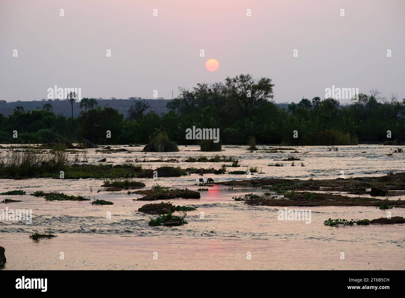 Sunrise, Zambezi River, Zambezi National Park, Zimbabwe, Africa Stock ...