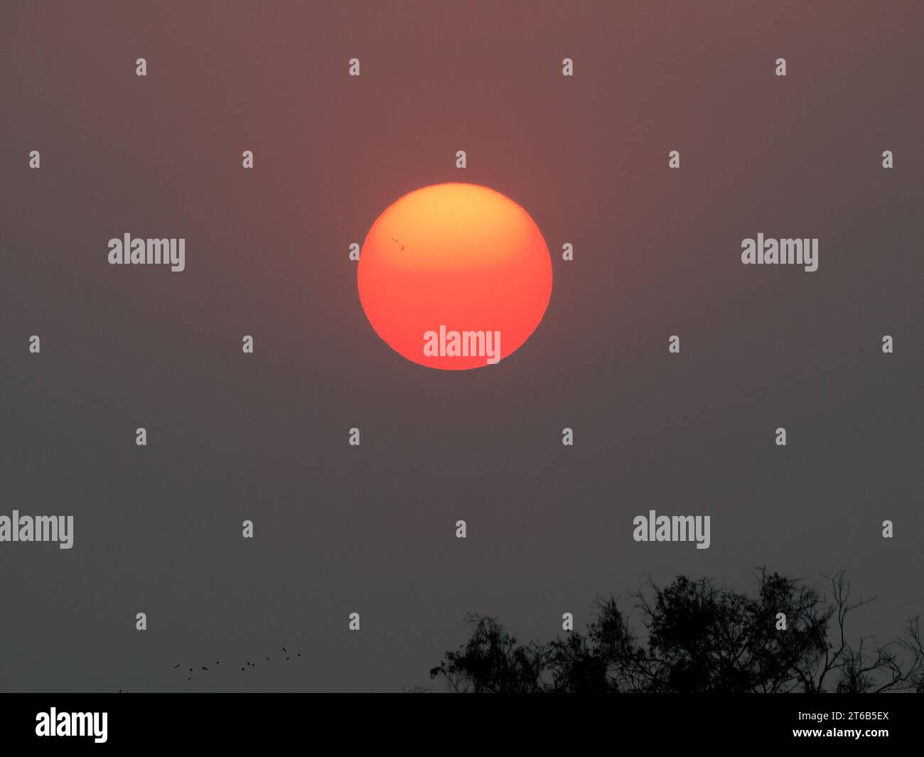 Zimbabwe sunrise hi-res stock photography and images - Alamy