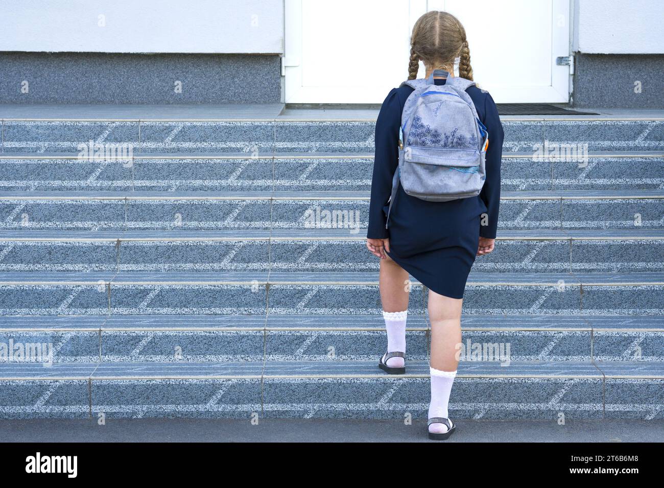 schoolgirl on the background of the school. Concept school days, Back ...