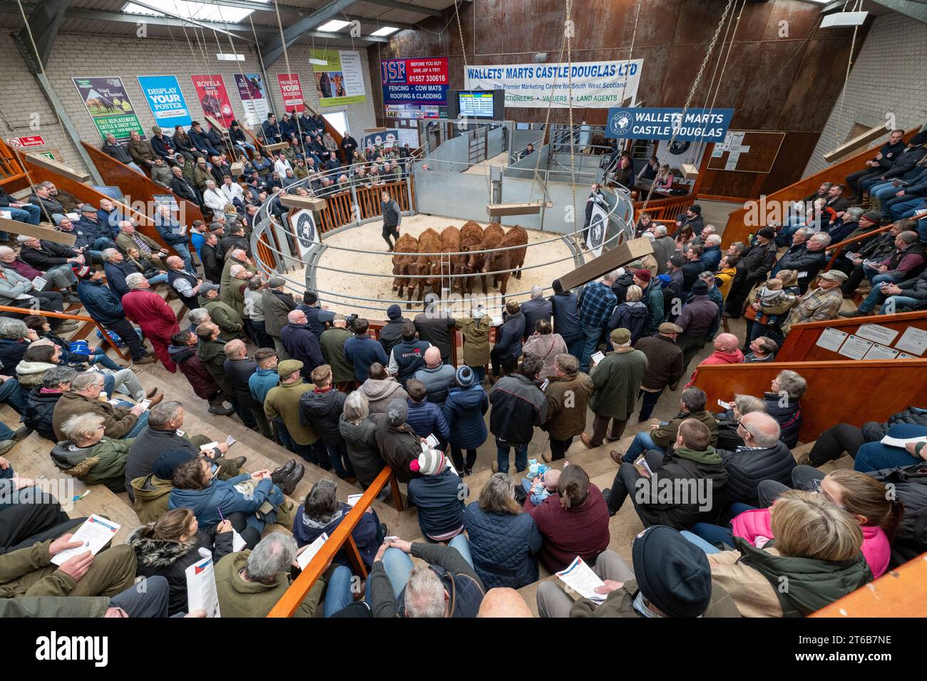 Cattle market castle douglas hi-res stock photography and images - Alamy