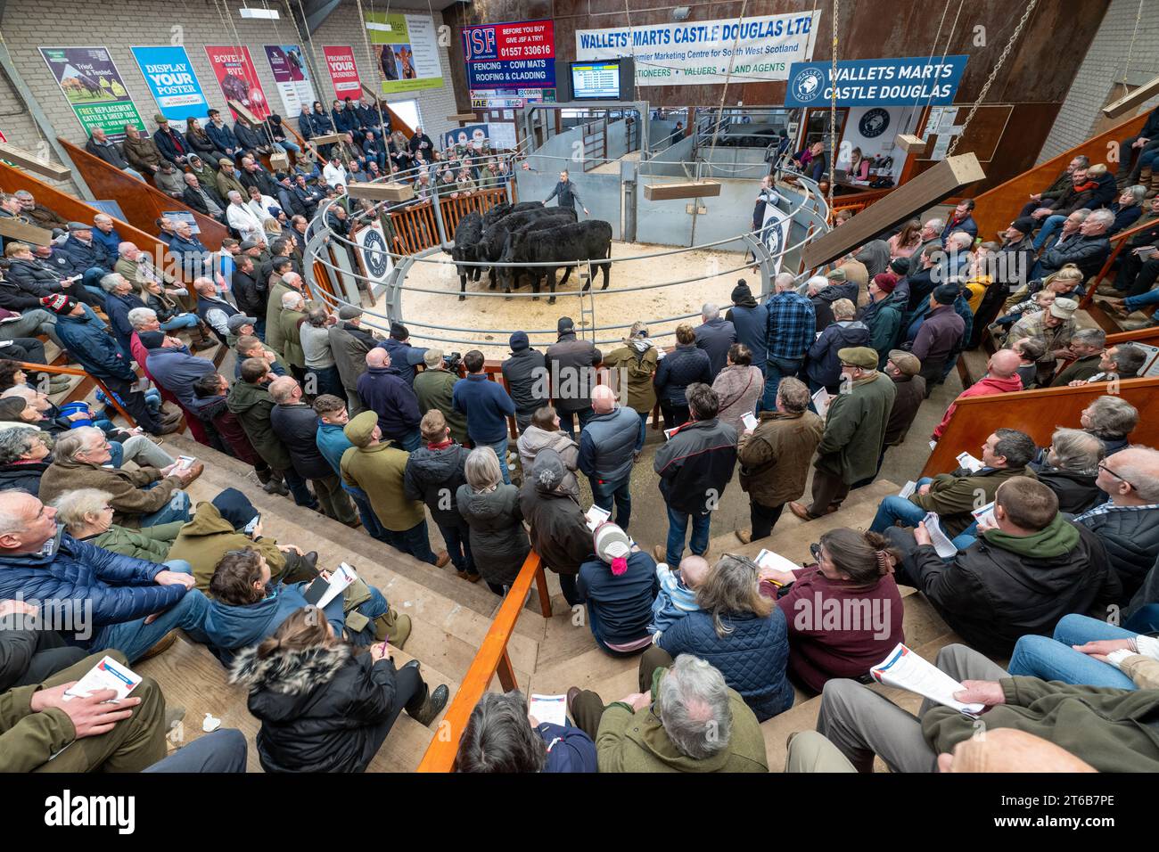 Cattle market castle douglas hi-res stock photography and images - Alamy