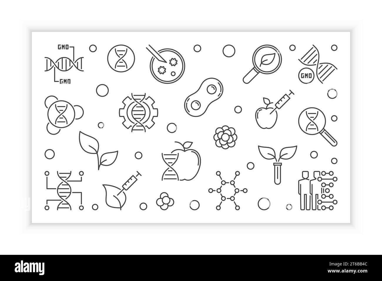 GMO concept vector simple horizontal banner in thin line style Stock Vector Image & Art - Alamy