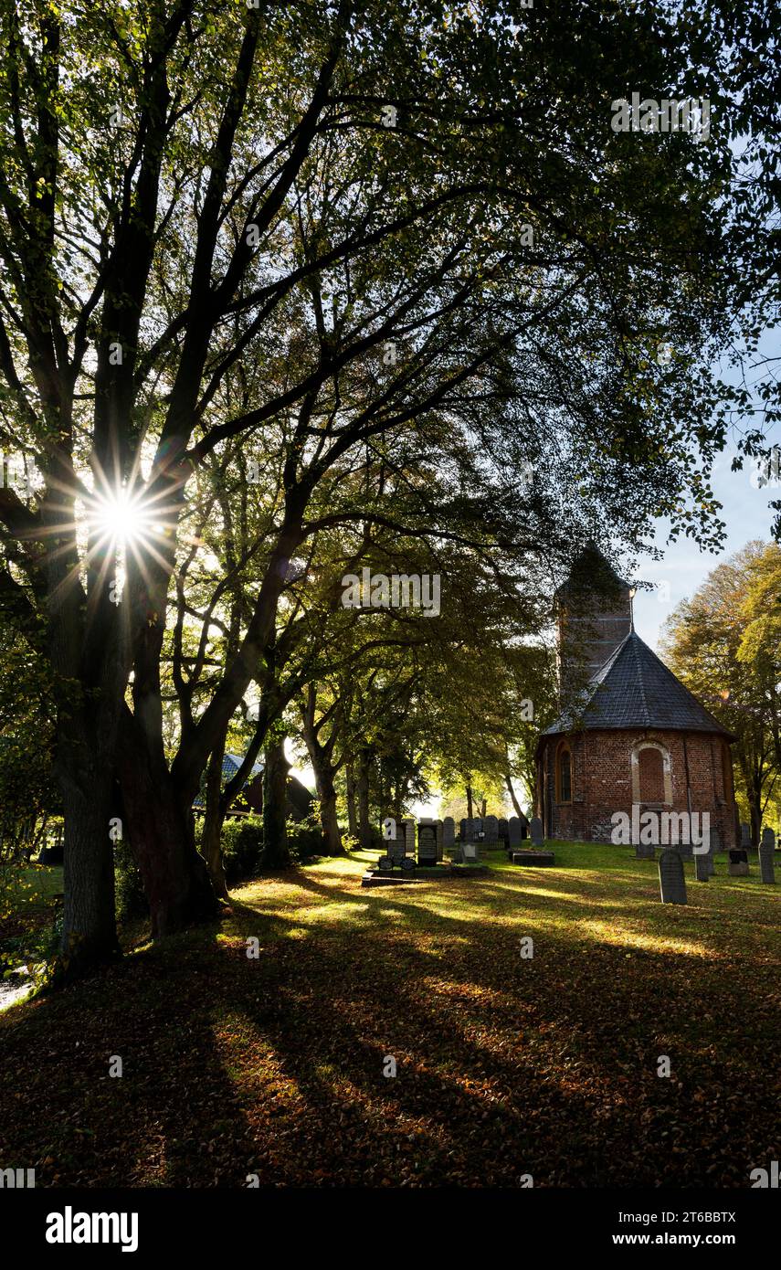The beautiful Stefanuskerk, half hidden behind the tall trees, is ...