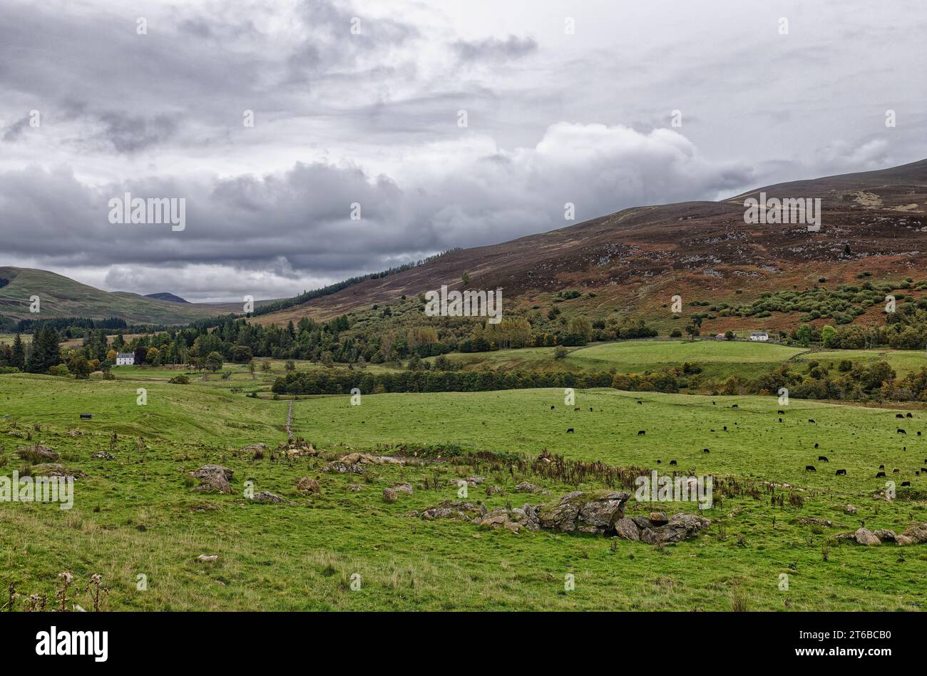 The lush natural landscape of Scottish hills, Scoltand Stock Photo - Alamy