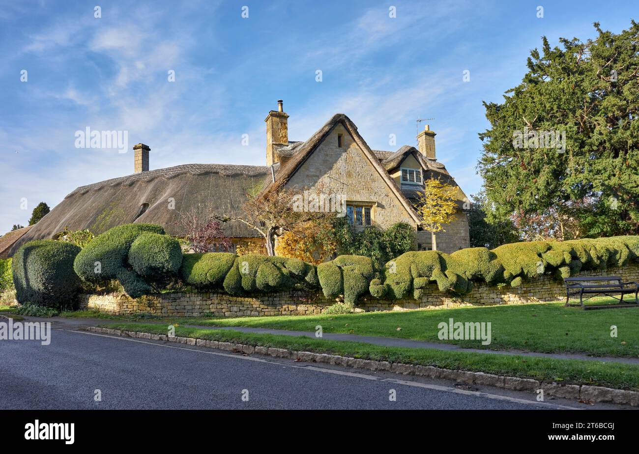 Unusual topiary hedge with Cotswold stone thatched cottage Cotswolds ...