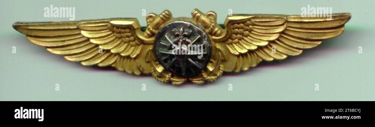 US WWII Navy Navigator Wings Stock Photo - Alamy