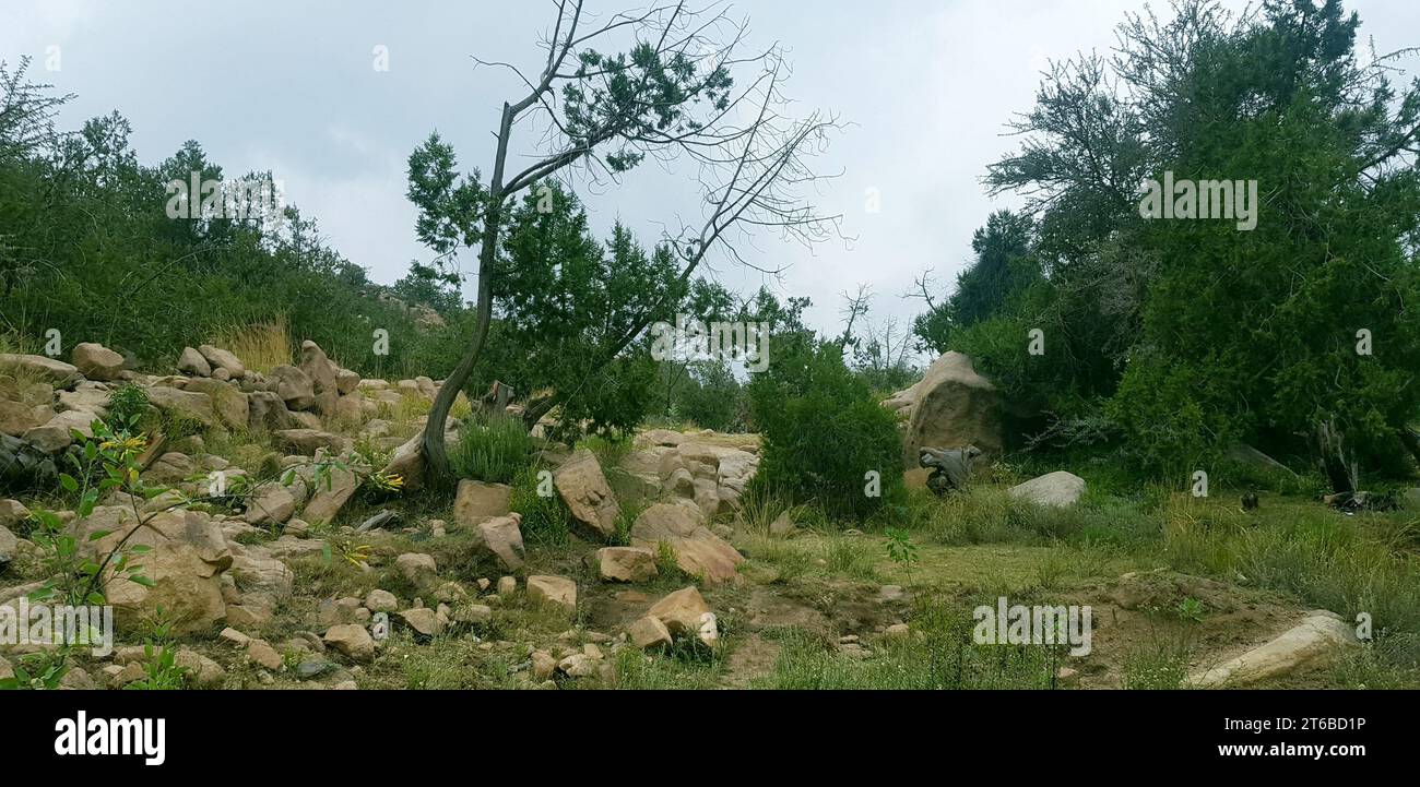 Beauty of taif hi-res stock photography and images - Alamy