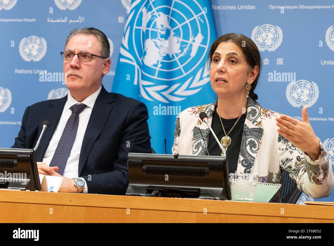 New York, USA. 09th Nov, 2023. Rola Dashti, Executive Secretary of ...