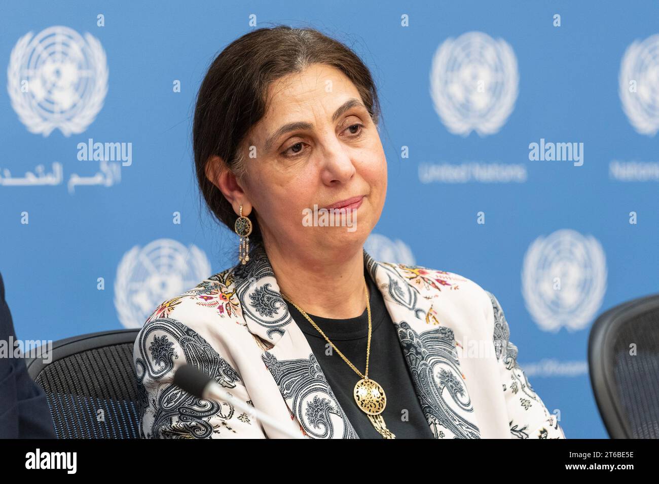 New York, USA. 09th Nov, 2023. Rola Dashti, Executive Secretary of ...