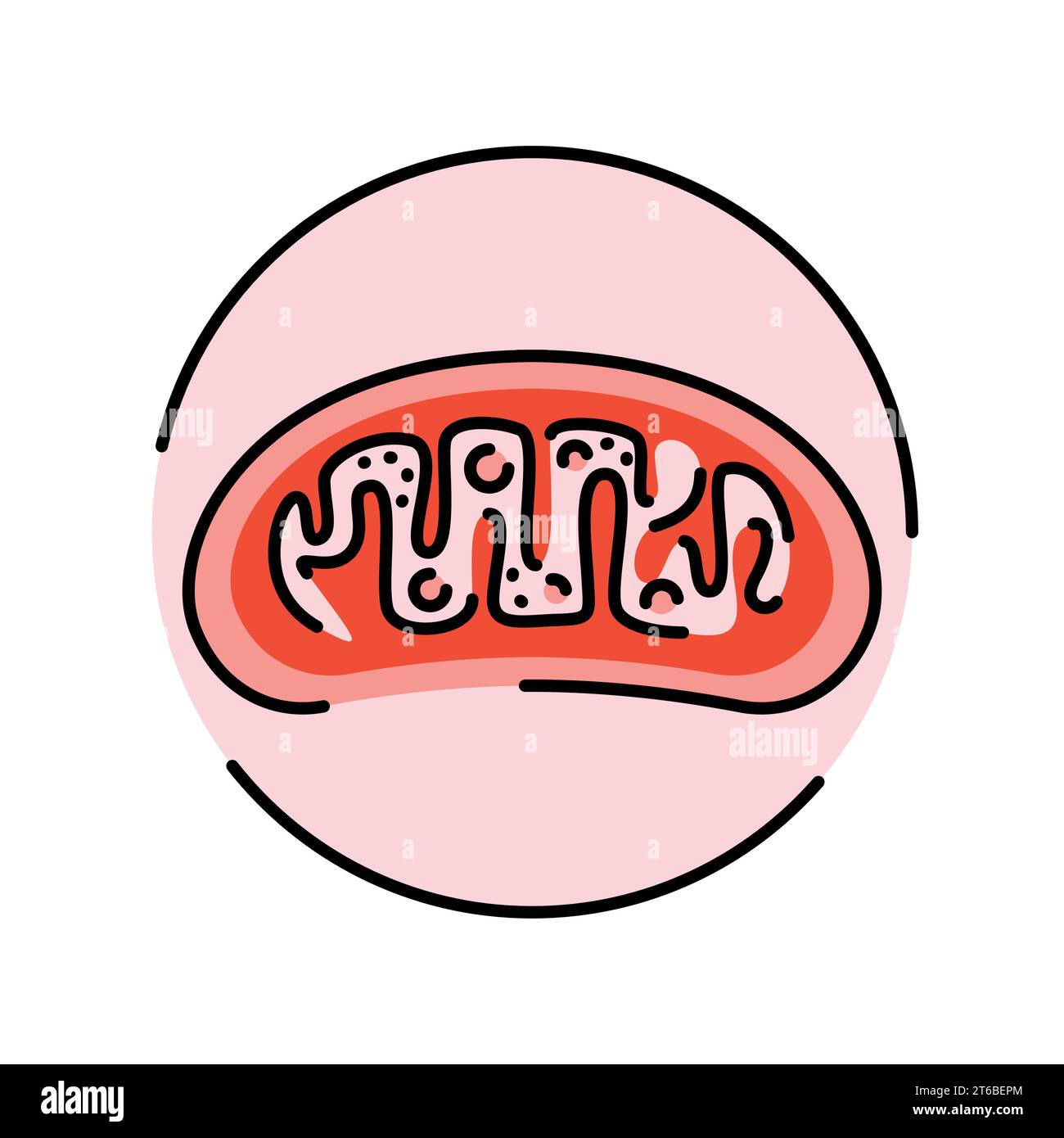 Organelle Color Line Icon Organisation In Organism Vector Isolated Element Editable Stroke