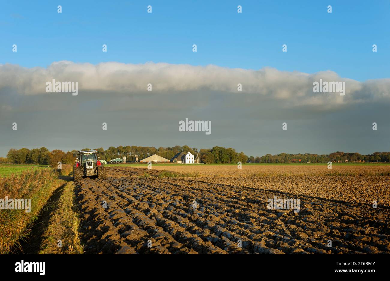 A farmer plows his land, on the horizon the farm with the white front ...