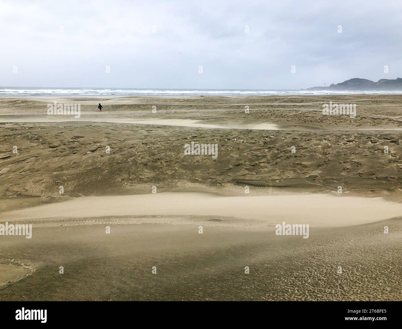 Windy Sandy Beach in Oregon Stock Photo - Alamy