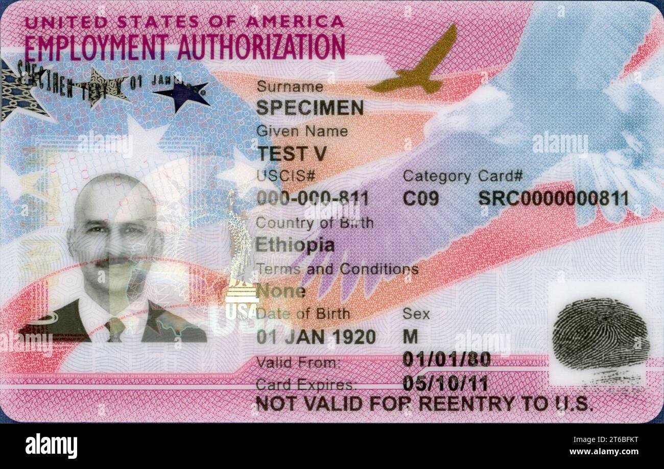 USCIS EAD card Stock Photo - Alamy