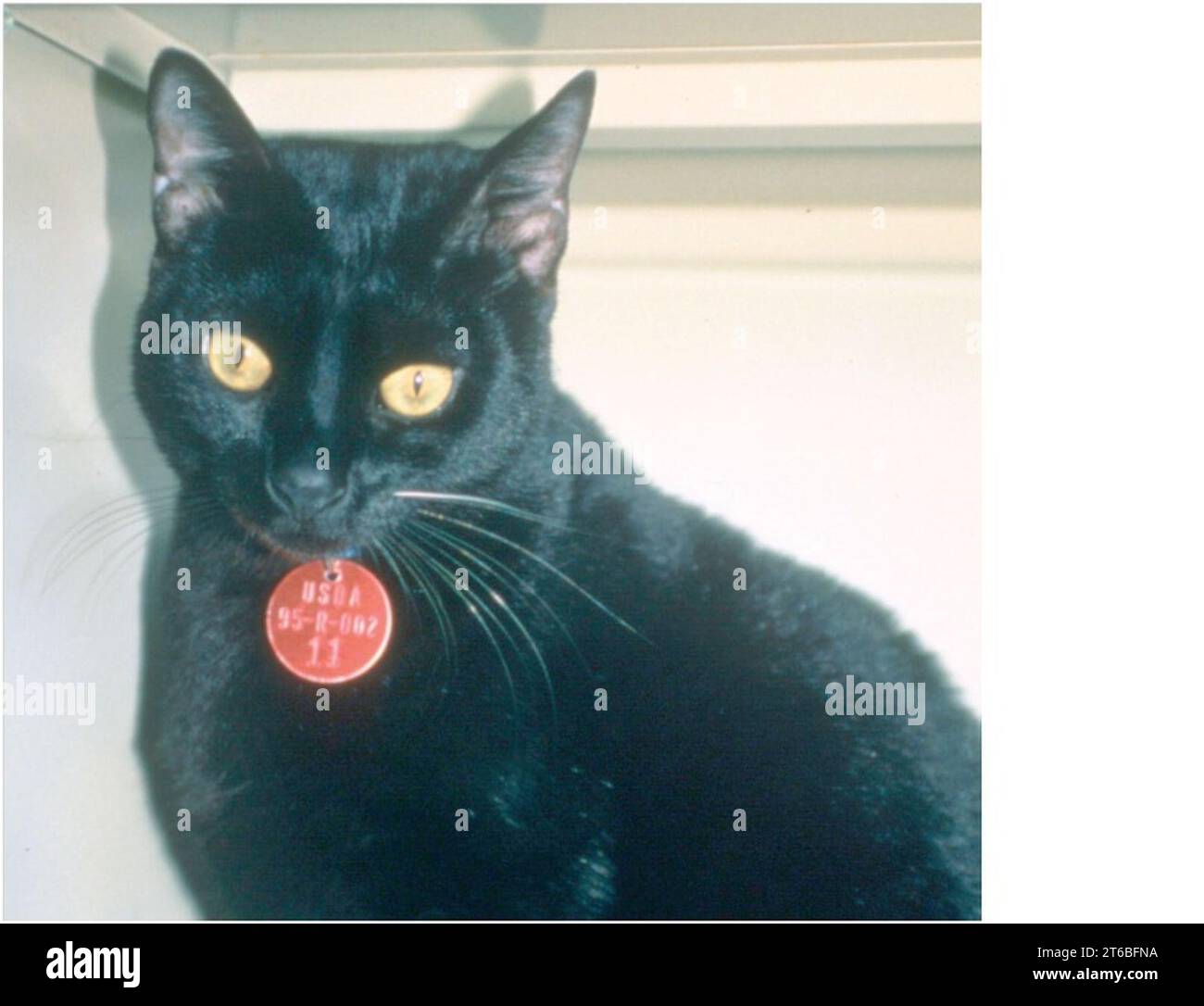 Historic lab Cut Out Stock Images & Pictures - Alamy