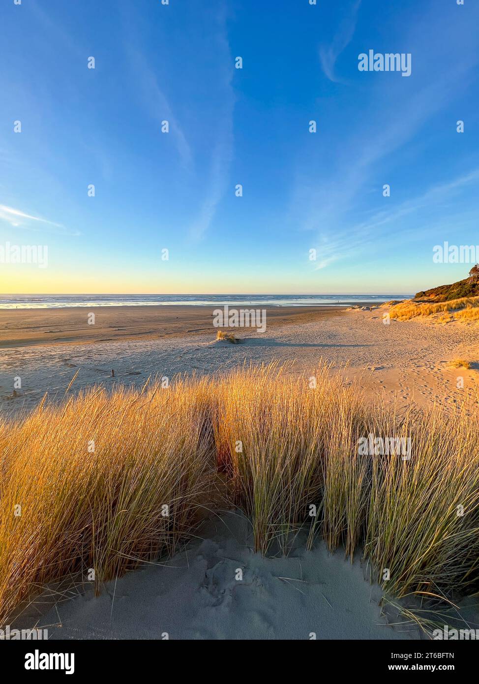 Sand Dunes on Beach at Sunset Stock Photo - Alamy