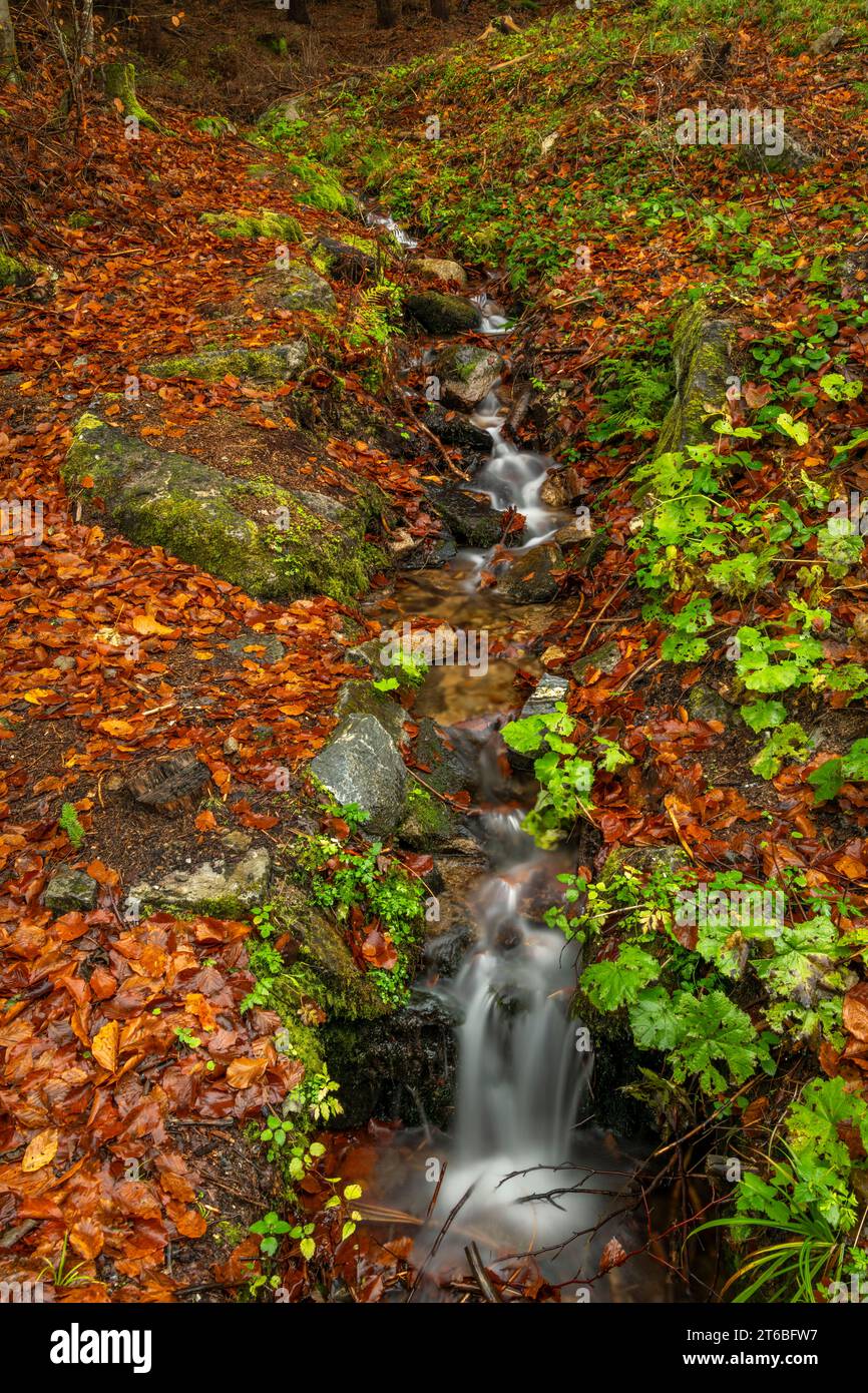 Small creek from hillside near Ponikly waterfall after night rain in ...
