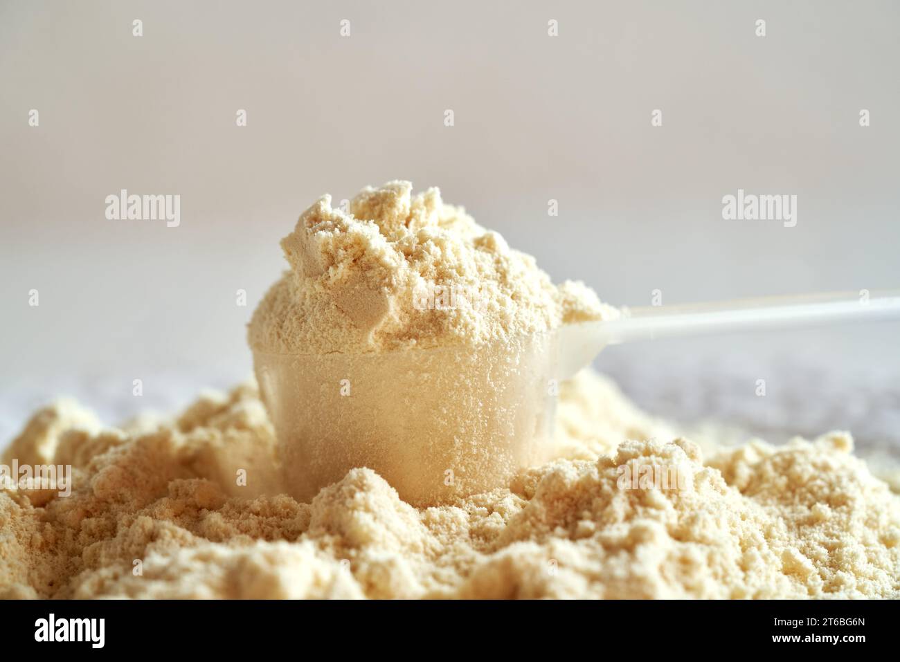 Whey protein powder in a plastic measuring spoon Stock Photo - Alamy