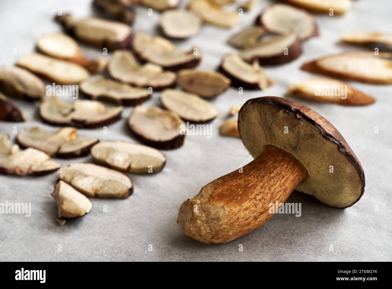 Fresh whole and sliced pine boletes on a table - wild edible mushrooms ...