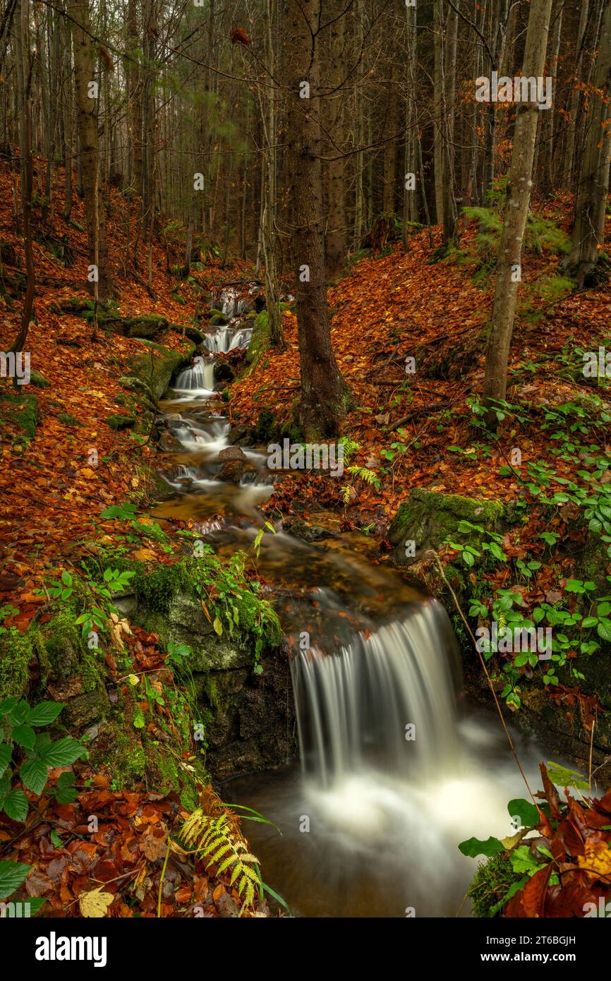 Small creek from hillside near Ponikly waterfall after night rain in ...