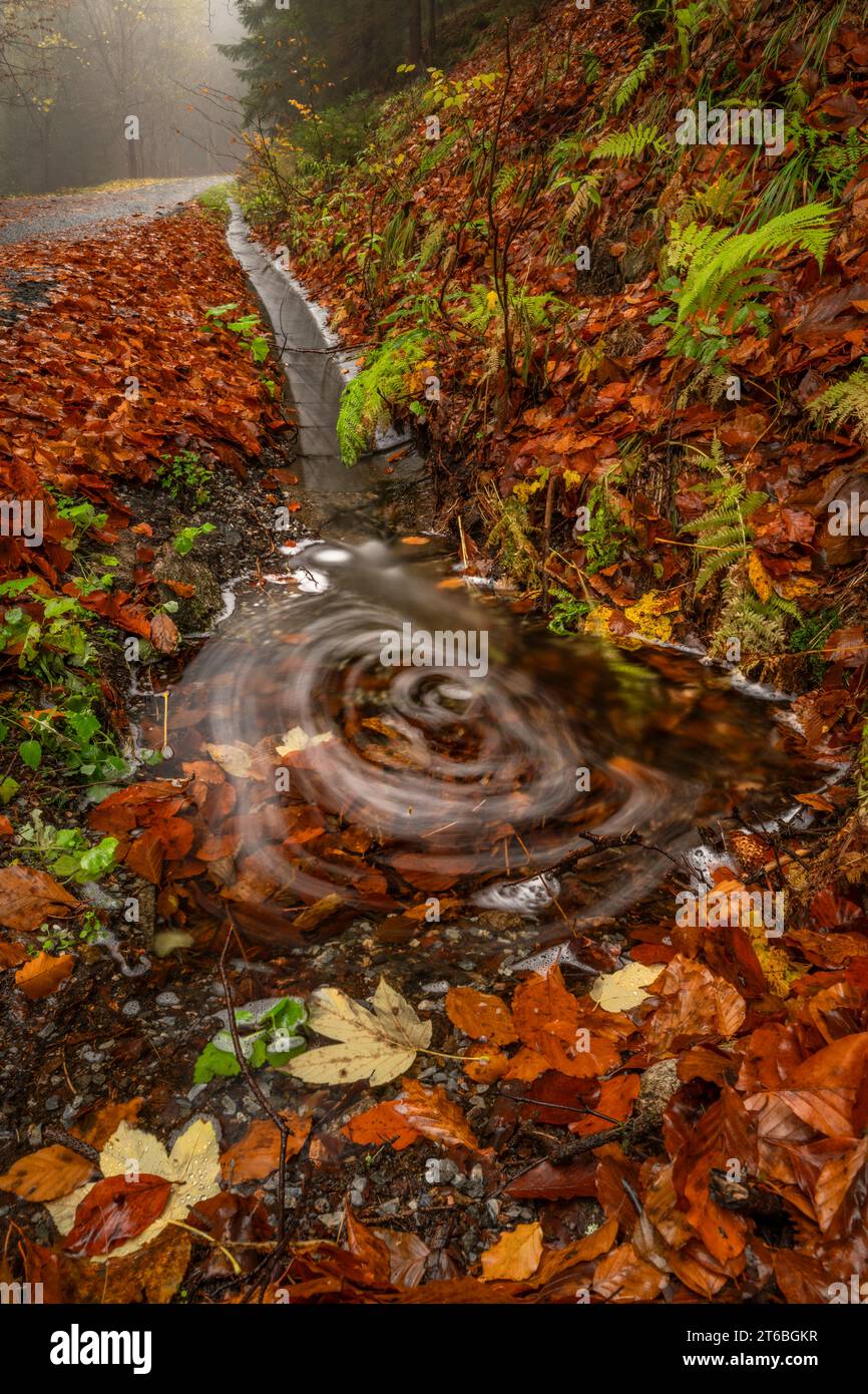 Small creek from hillside near Ponikly waterfall after night rain in ...