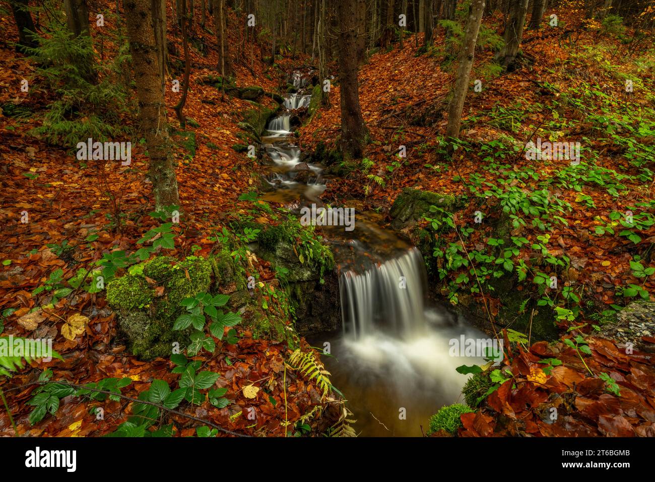 Small creek from hillside near Ponikly waterfall after night rain in ...