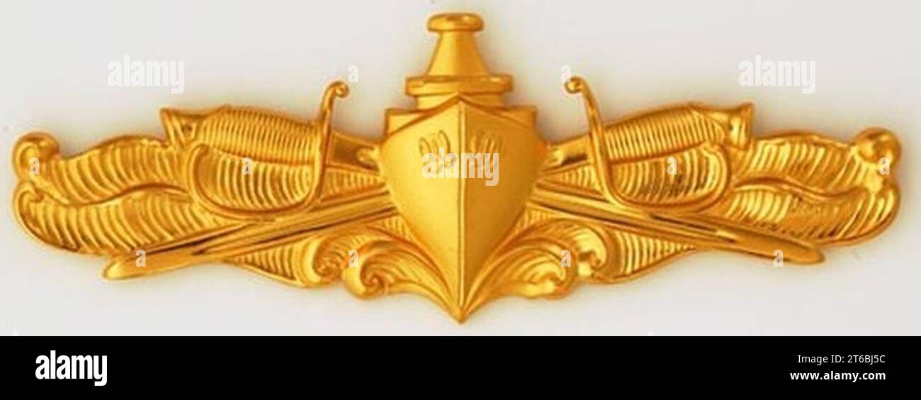 USN - Surface Warfare Officer Stock Photo - Alamy