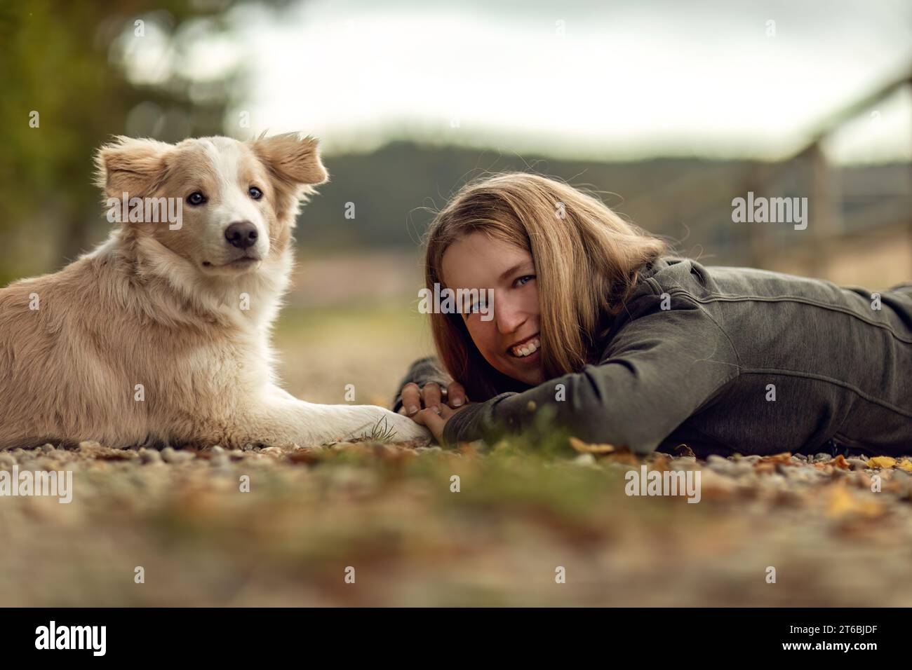 A young woman and her border collie puppy dog cuddling and interacting ...