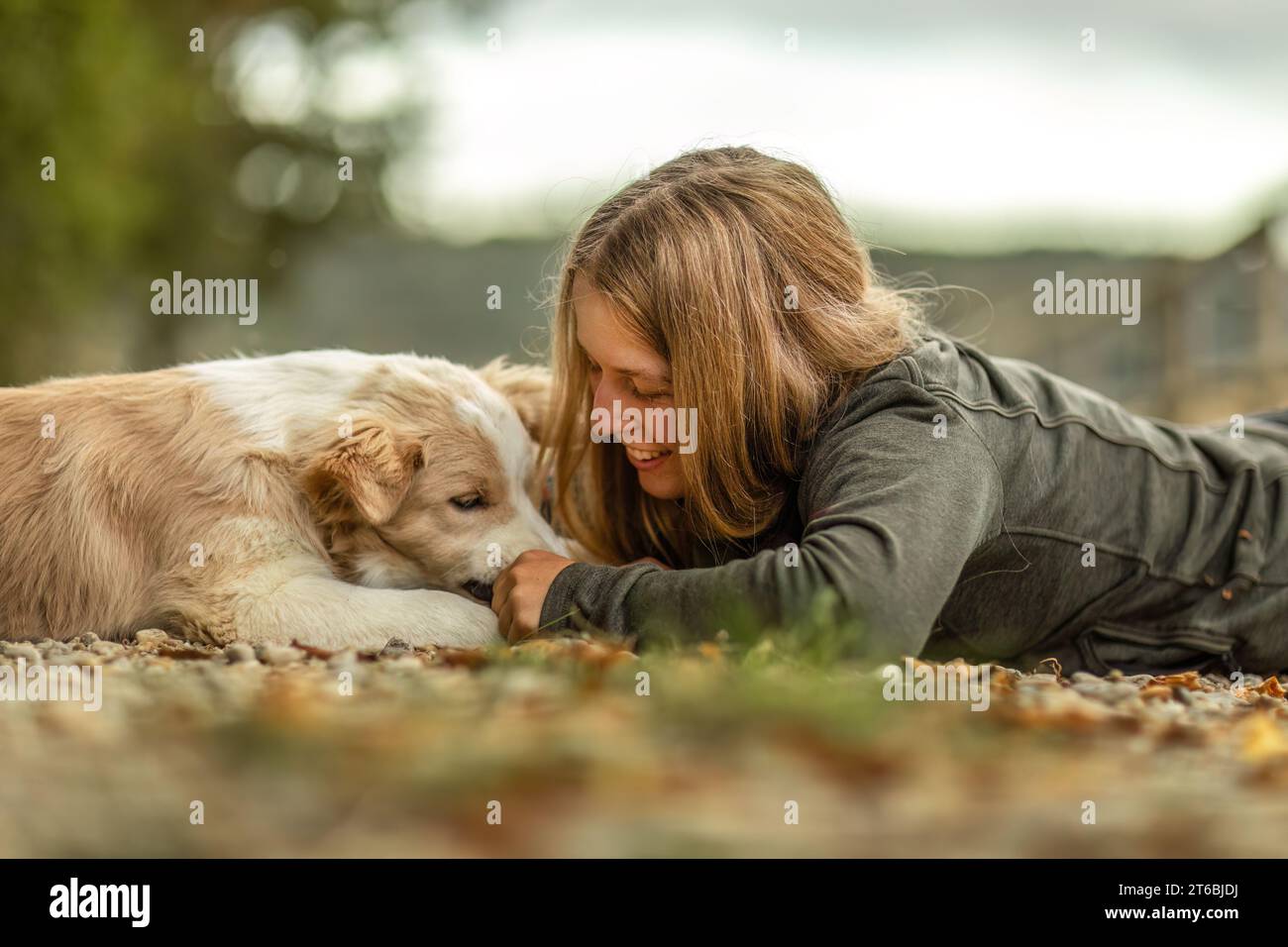 A young woman and her border collie puppy dog cuddling and interacting ...