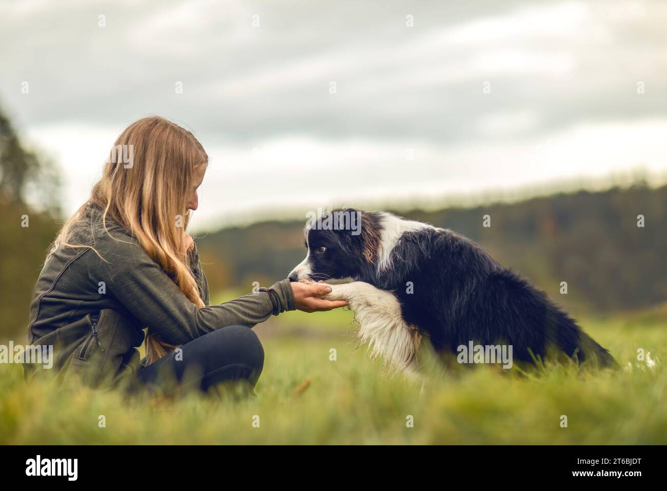 A young woman and her border collie puppy dog cuddling and interacting ...