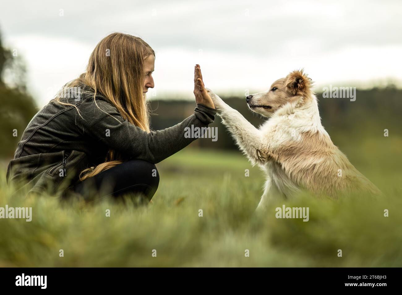 A young woman and her border collie puppy dog cuddling and interacting ...