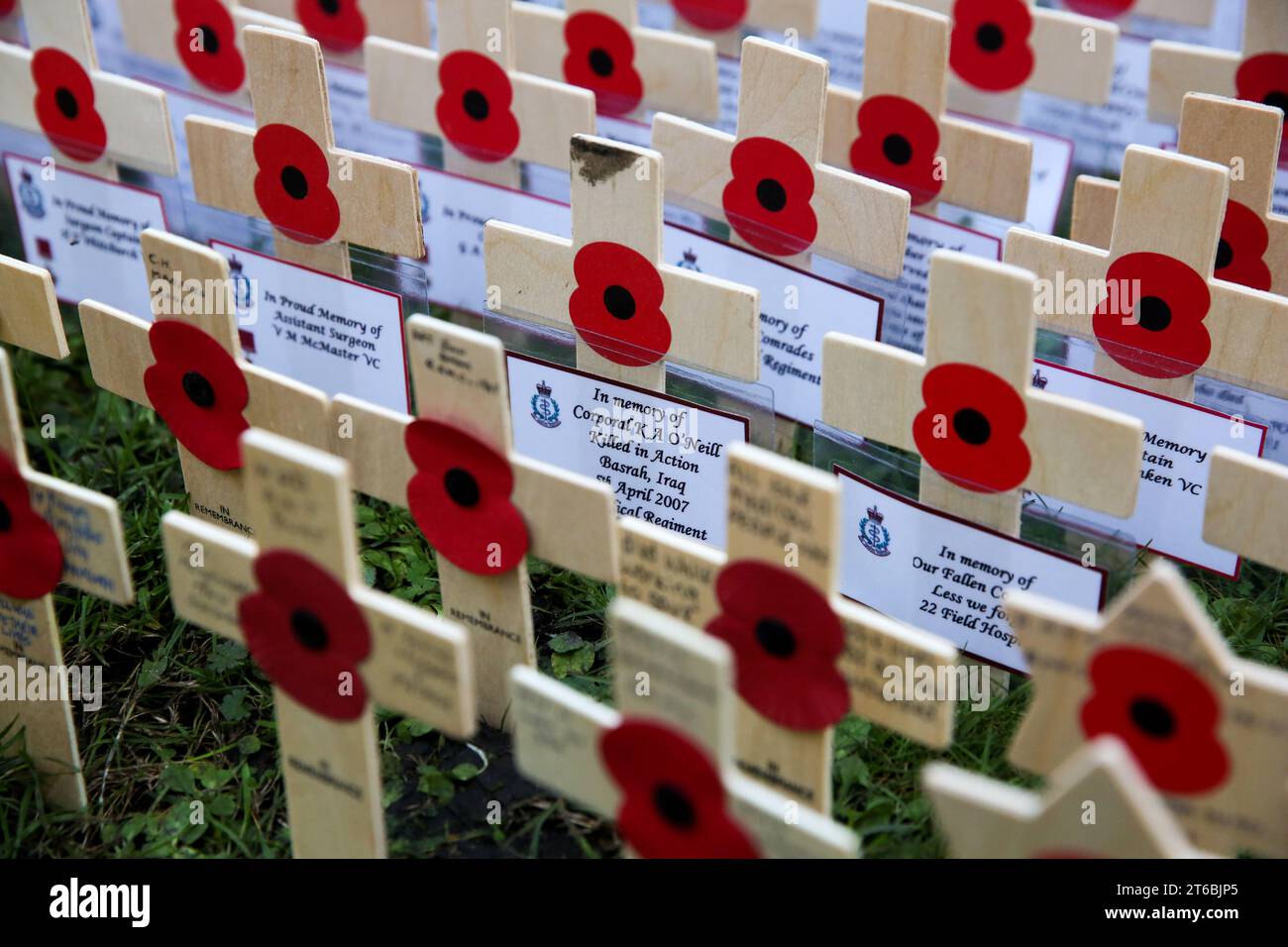 Crosses and poppies with messages of remembrance laid in the grounds of ...