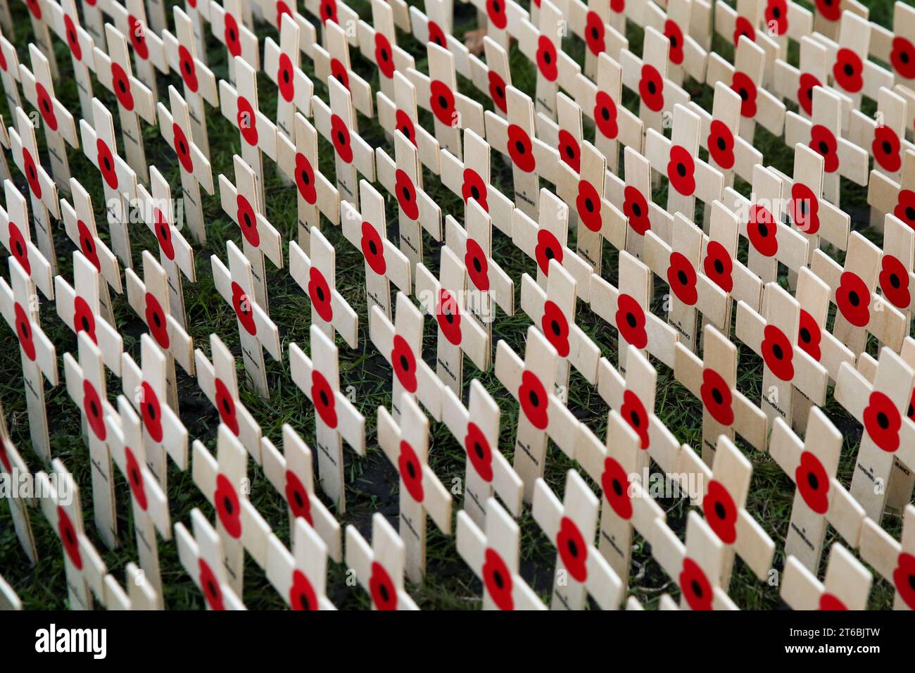 Crosses and poppies with messages of remembrance laid in the grounds of ...