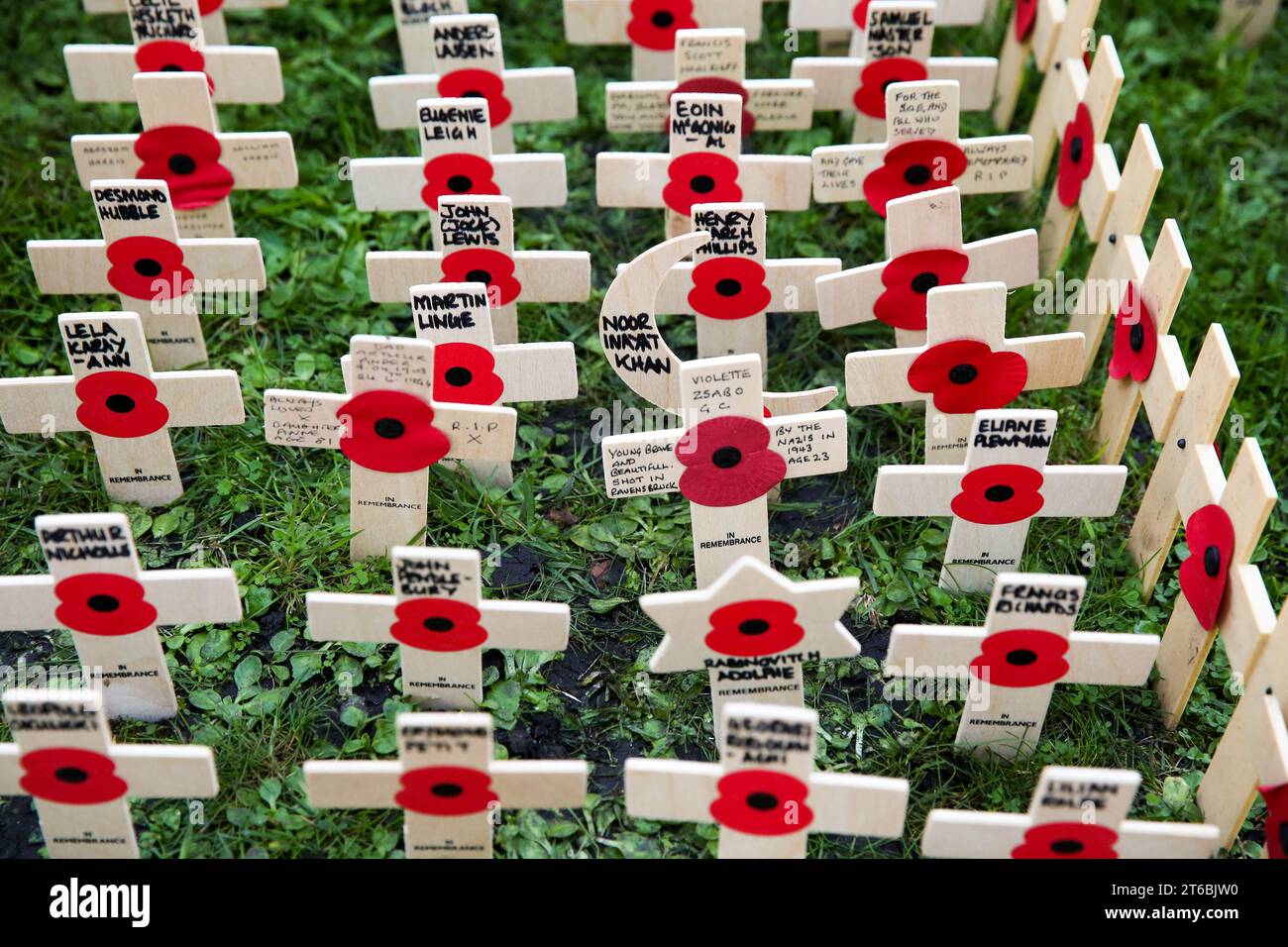 Crosses and poppies with messages of remembrance laid in the grounds of ...