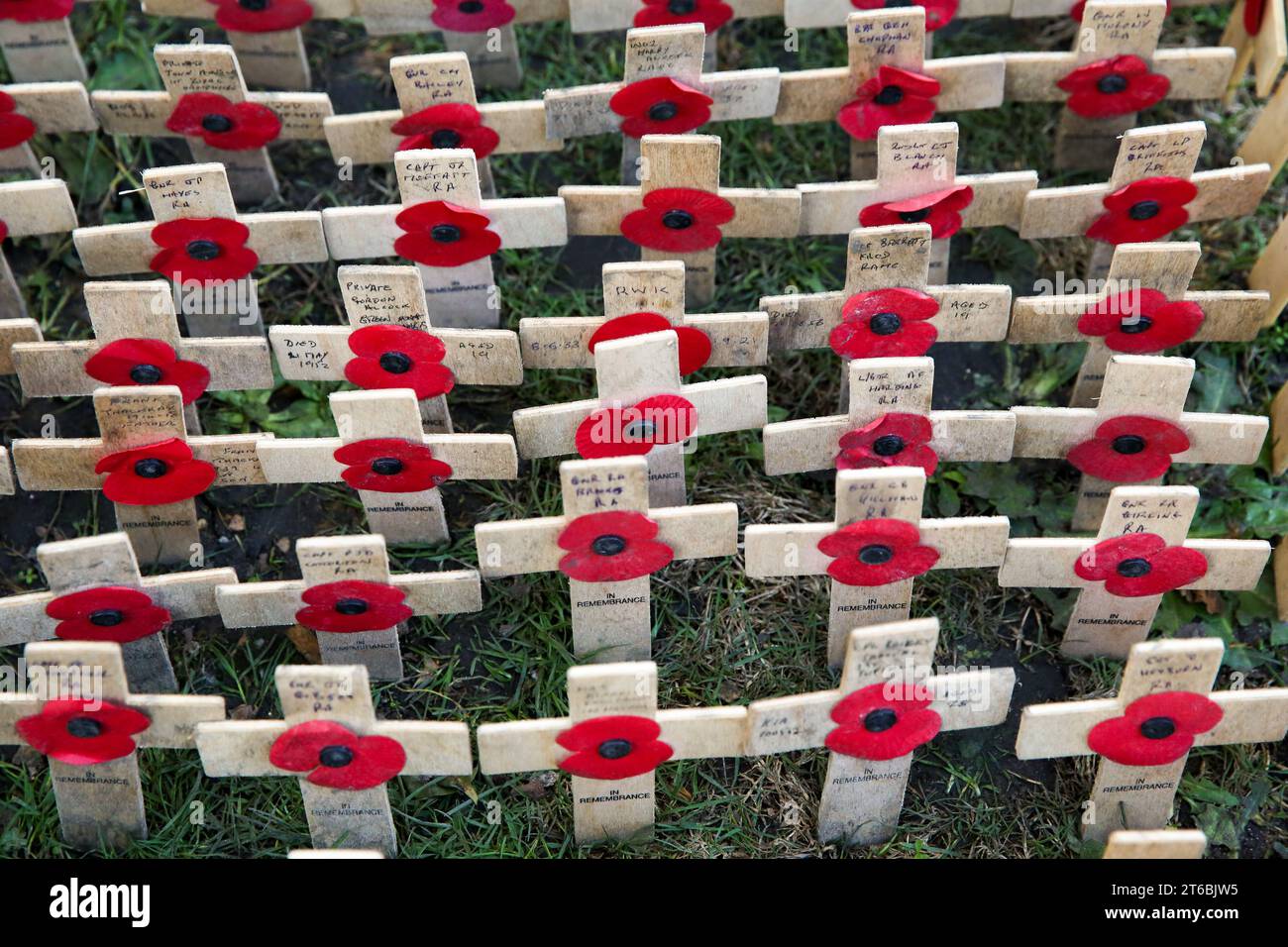 Crosses and poppies with messages of remembrance laid in the grounds of ...